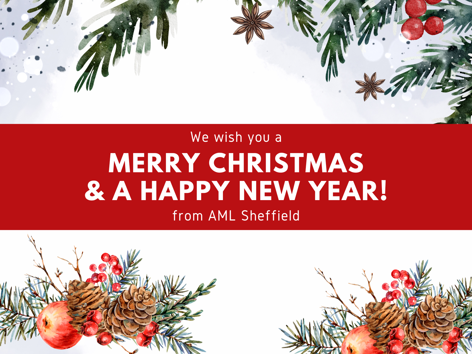 Merry Christmas and Happy New Year! - AML